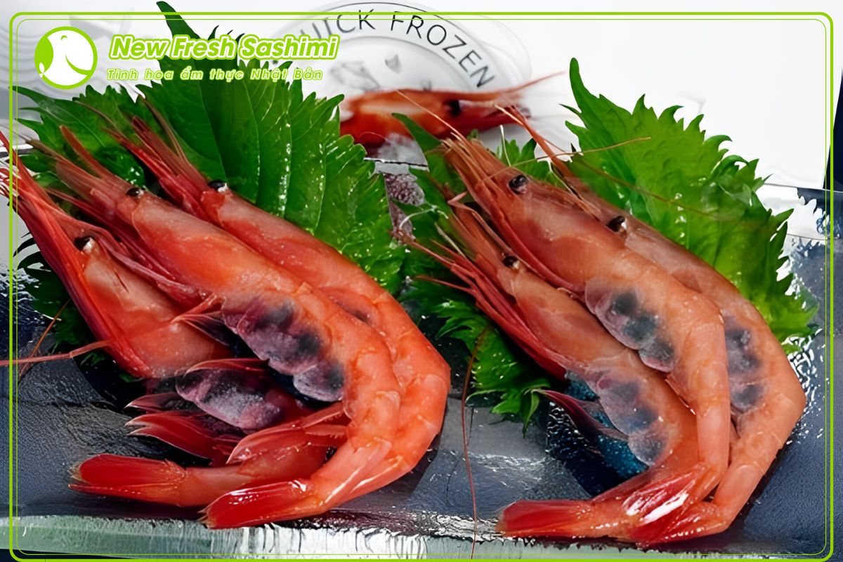 ĐỔI VỊ CHO GIA ĐÌNH VỚI MÓN SASHIMI TÔM NGỌT AMAEBI TƯƠI NGON